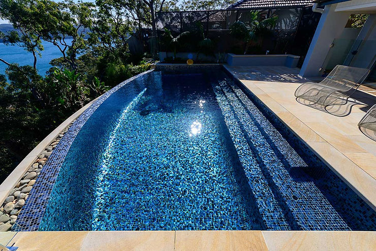 Will My Dog Ruin Our Pool?! – (Pet Friendly Pool Options.) – Blaze ProScapes